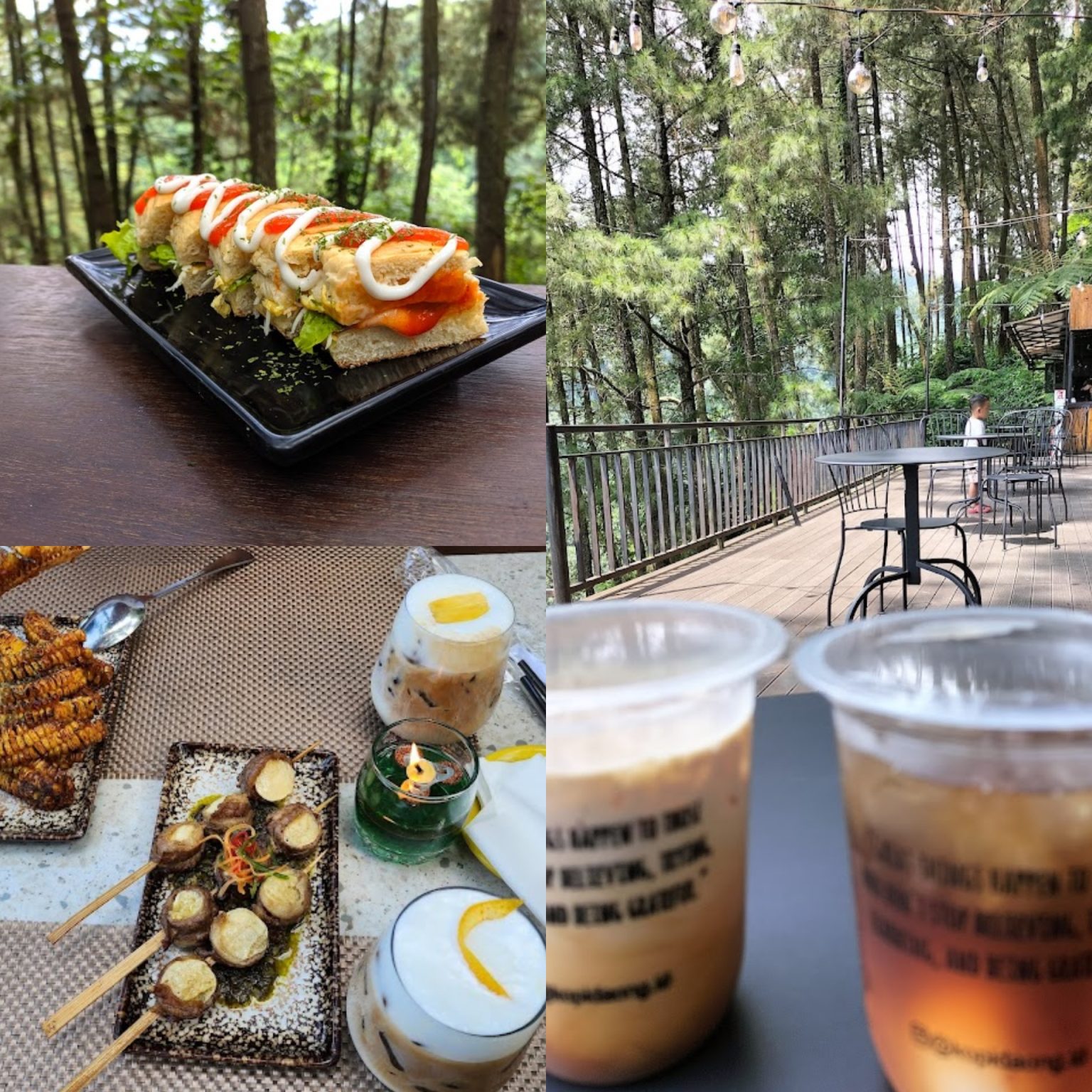 Kopi Daong Hutan Pinus, Kafe yang Menyuguhkan Pemandangan Alam yang ...