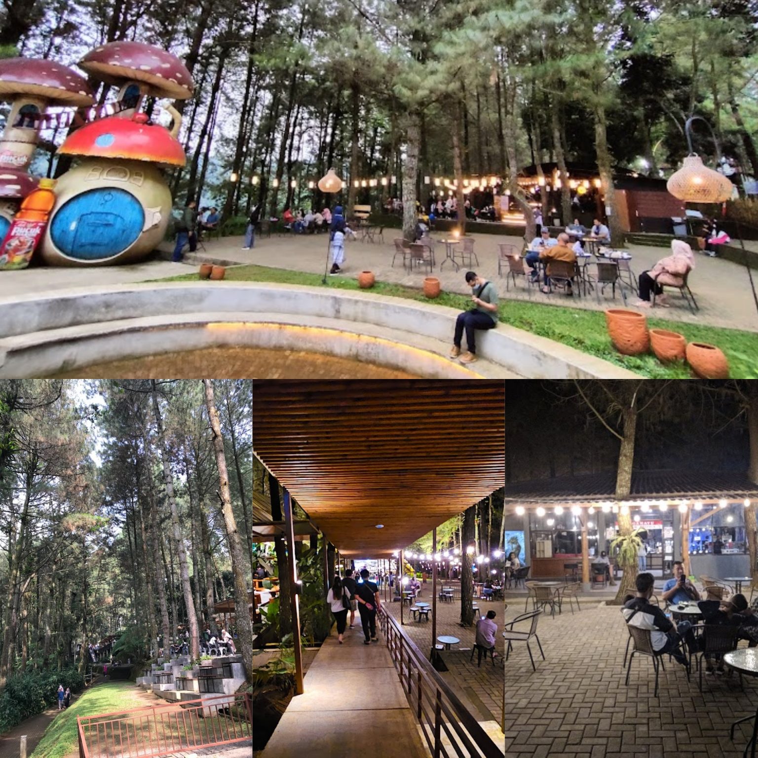 Kopi Daong Hutan Pinus, Kafe yang Menyuguhkan Pemandangan Alam yang ...