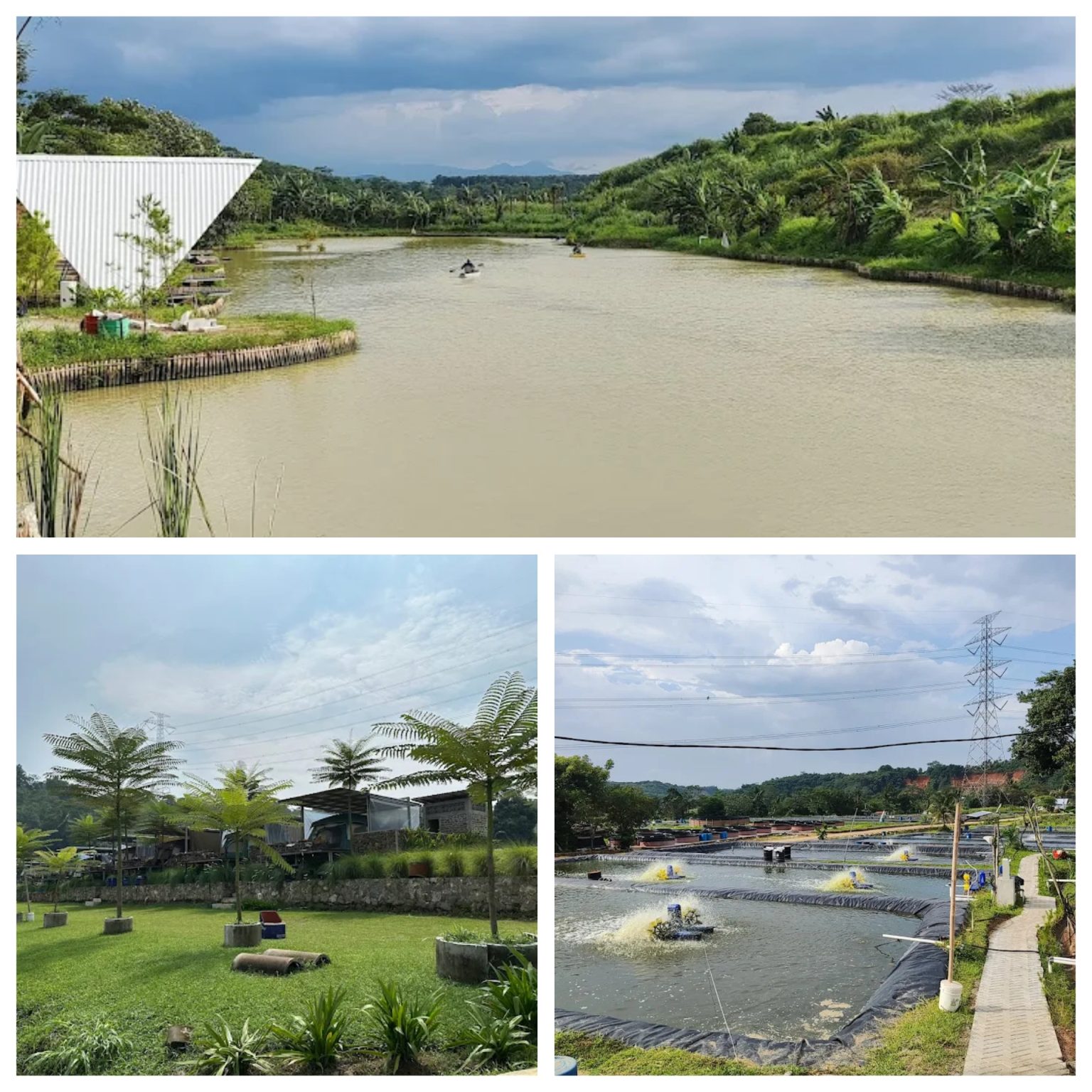Batoo Farm Adventure Wisata Camping yang Seru dan Juga Nyaman Banget ...