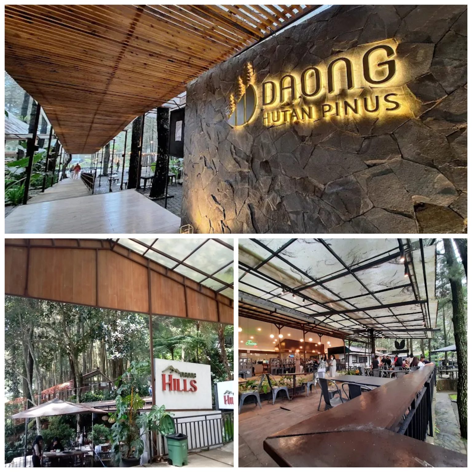 Kopi Daong Hutan Pinus Tempat Ngopi yang Populer dan Seindah itu di ...