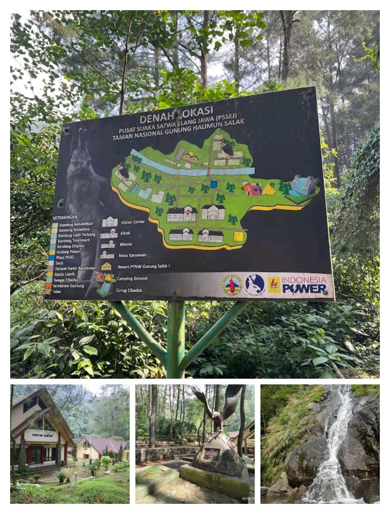 Wisata Edukasi Suaka Alam Loji Sekaligus Wisata Suaka Elang Jawa Curug ...